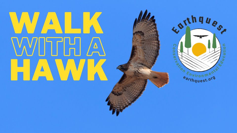 walk-with-a-hawk - Fredericksburg Free Press
