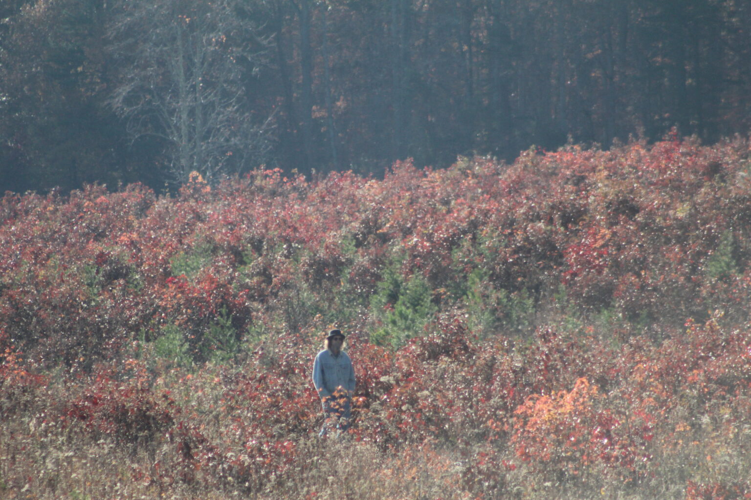 PHOTOS: Bloody Angle, Spotsylvania - Fredericksburg Free Press