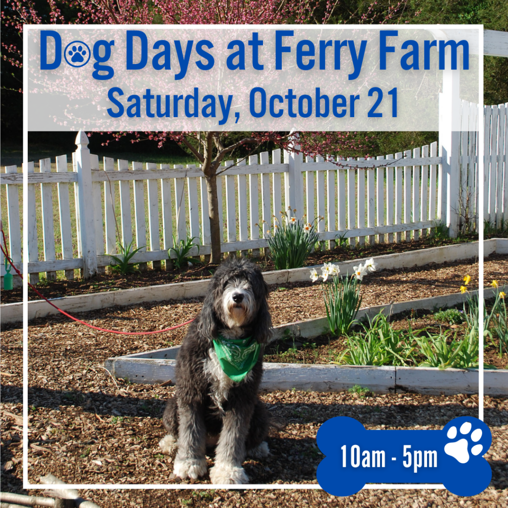 Dog Days at Ferry Farm - Fredericksburg Free Press