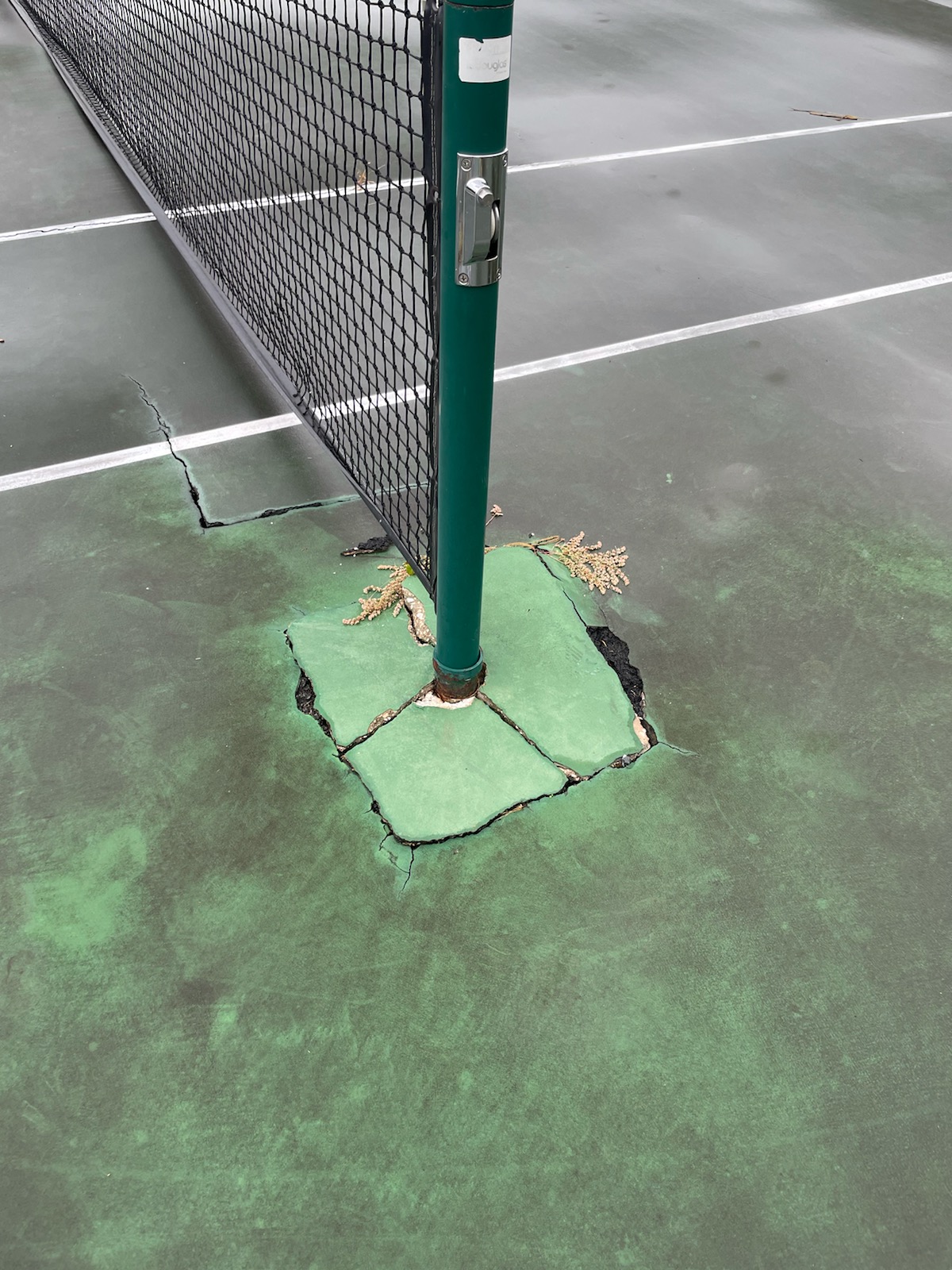 DIXON SMITH TENNIS 9 - Fredericksburg Free Press