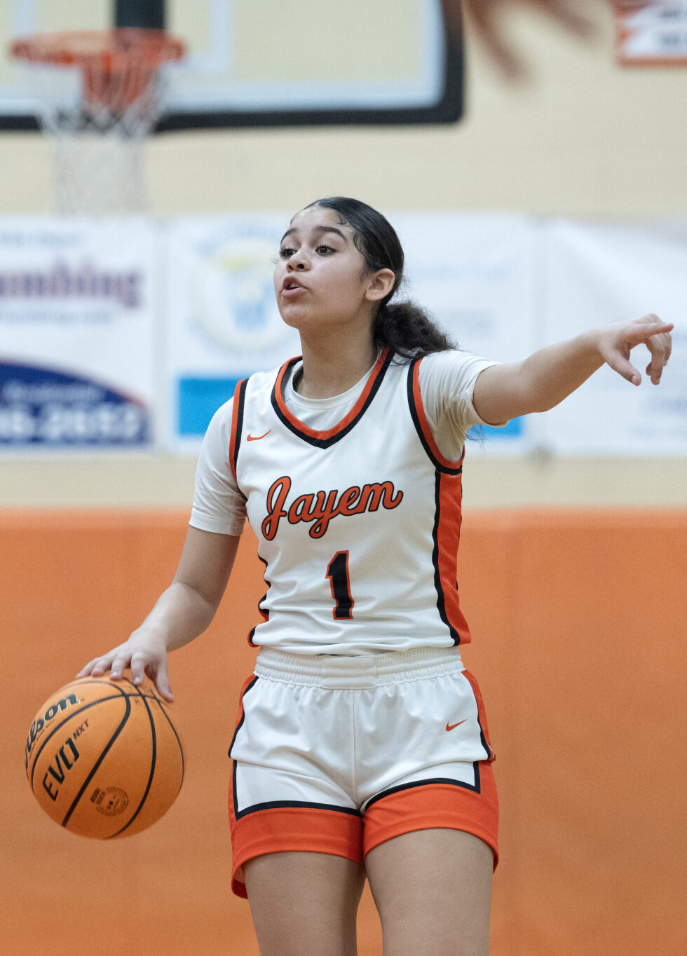 JM girls pull away from Hopewell to reach state semis; Riverbend boys ...