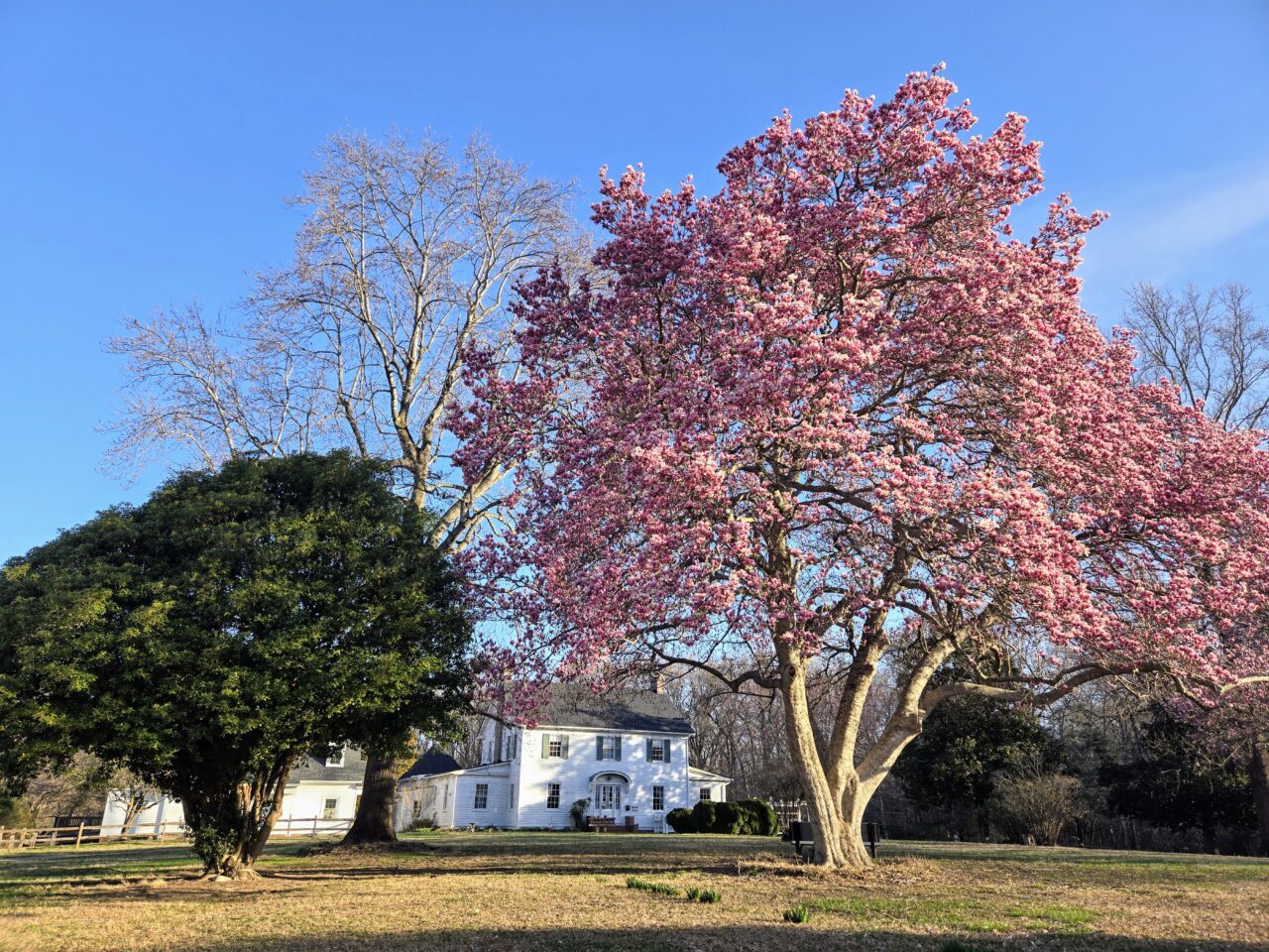 Bark in the Park & annual Easter Egg Hunt to be held at Caledon State ...