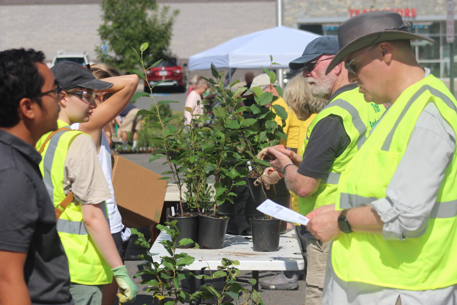 PHOTOS: Thousands of native plants find new homes at Tree ...
