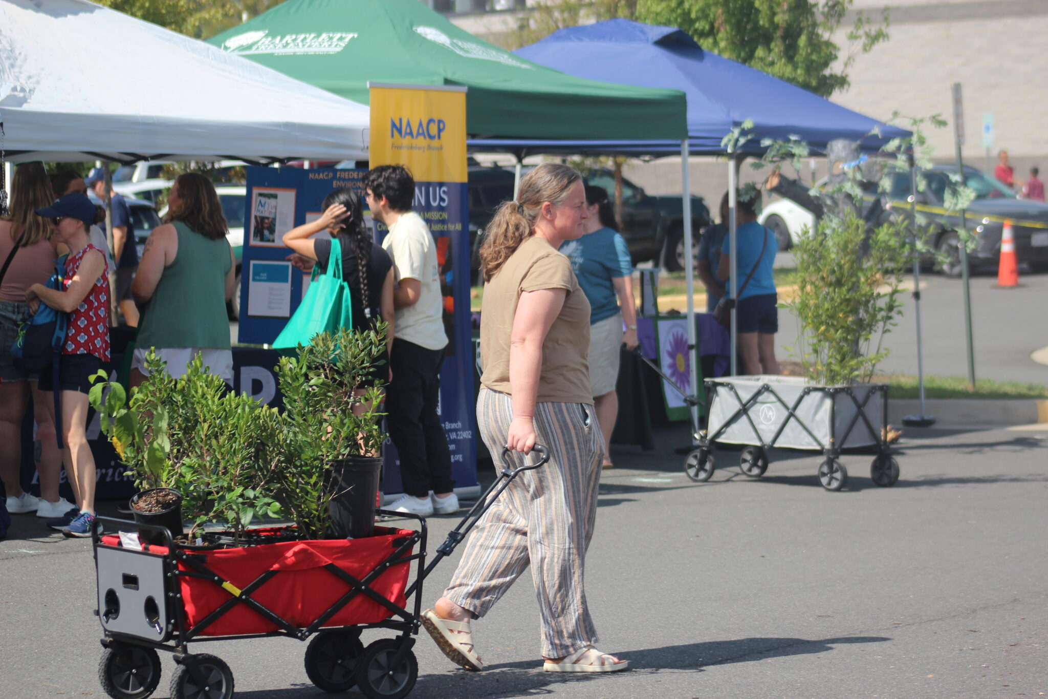 PHOTOS: Thousands of native plants find new homes at Tree ...