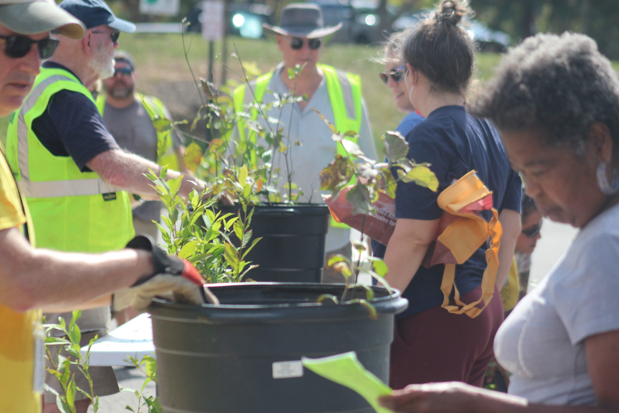 PHOTOS: Thousands of native plants find new homes at Tree ...