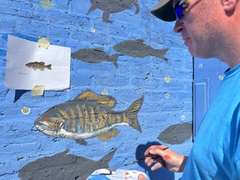 PHOTOS: Floods, fish, Washington and Gary the Goose featured in new ...
